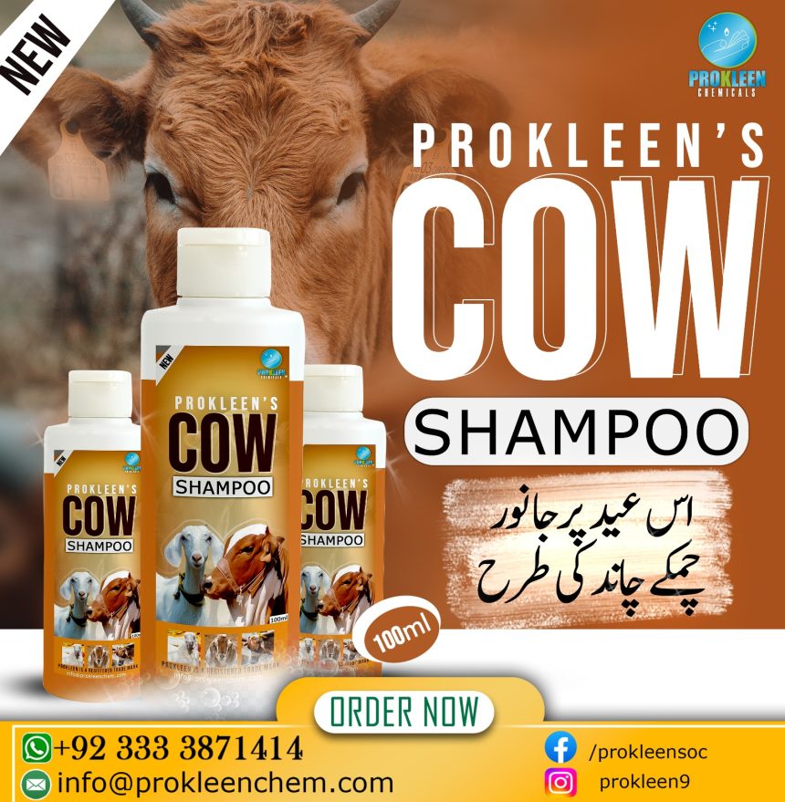 ProKleen Cow Shampoo | Prokleen